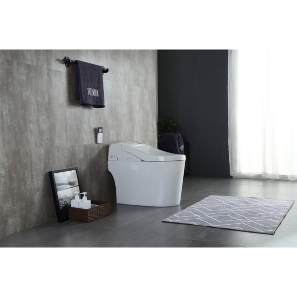 RunFine Group 1.28 GPF Elongated Floor Mounted Bidet Toilet (Seat Included) | Wayfair
